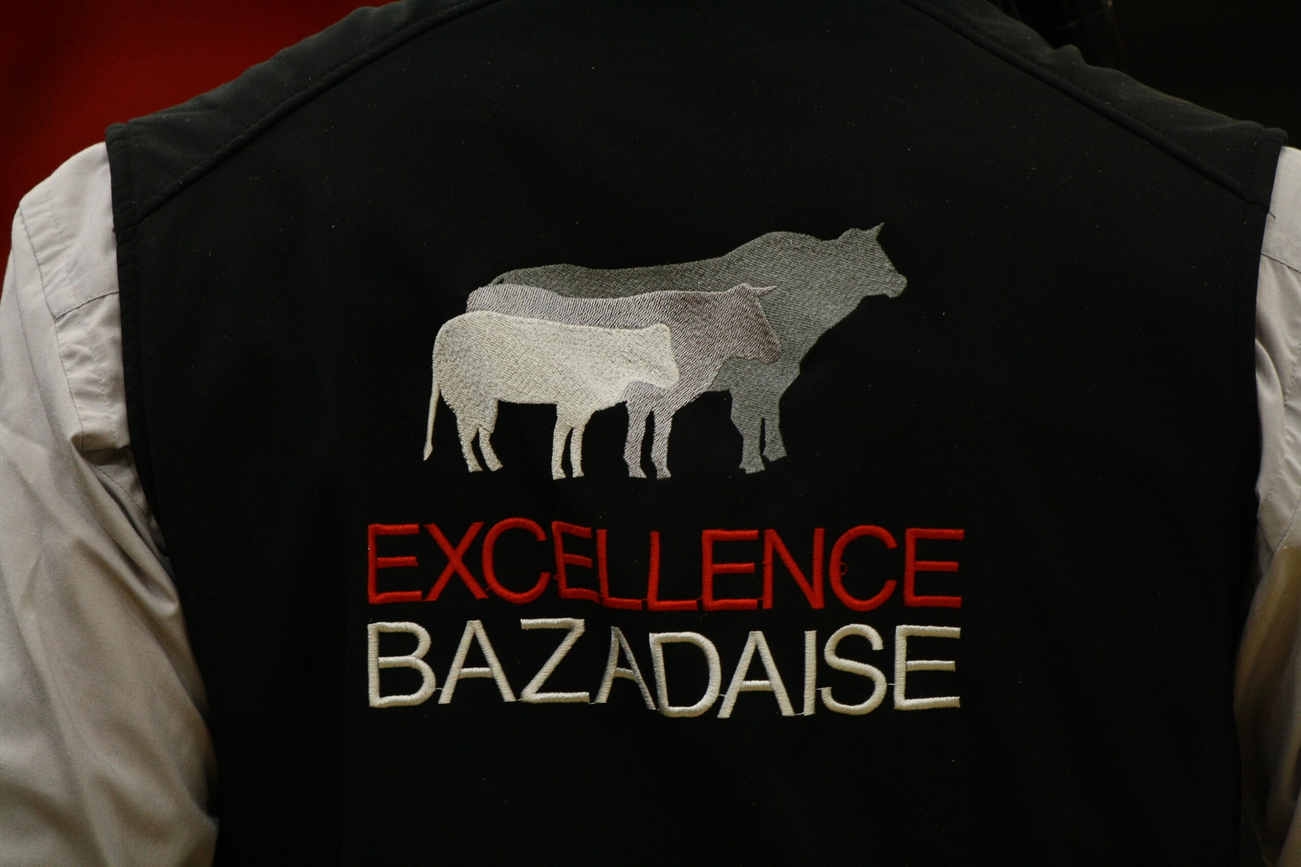 La Boutique – La race Bazadaise